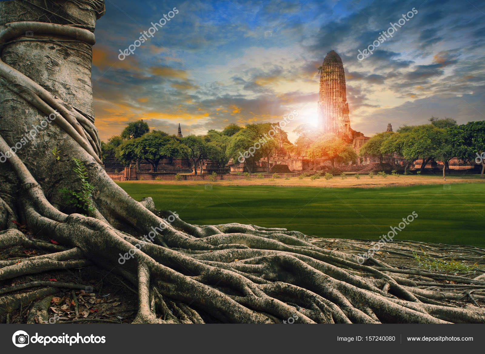 Big root of banyan tree land scape of ancient and old pagoda in Stock ...