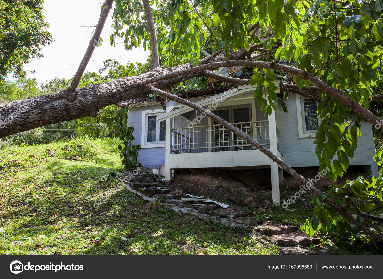 Falling tree after hard storm on damage house — Stock Photo © khunaspix ...