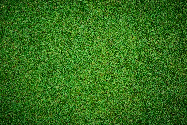 Dark green grass Stock Photos, Royalty Free Dark green grass Images ...