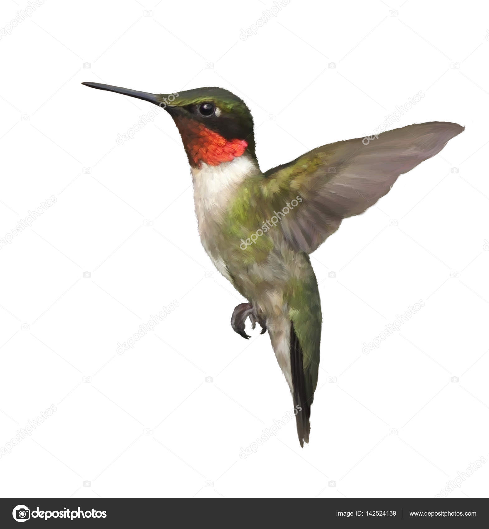 Rubi Garganta Hummingbird Aquarela — Foto © svetas #142524139