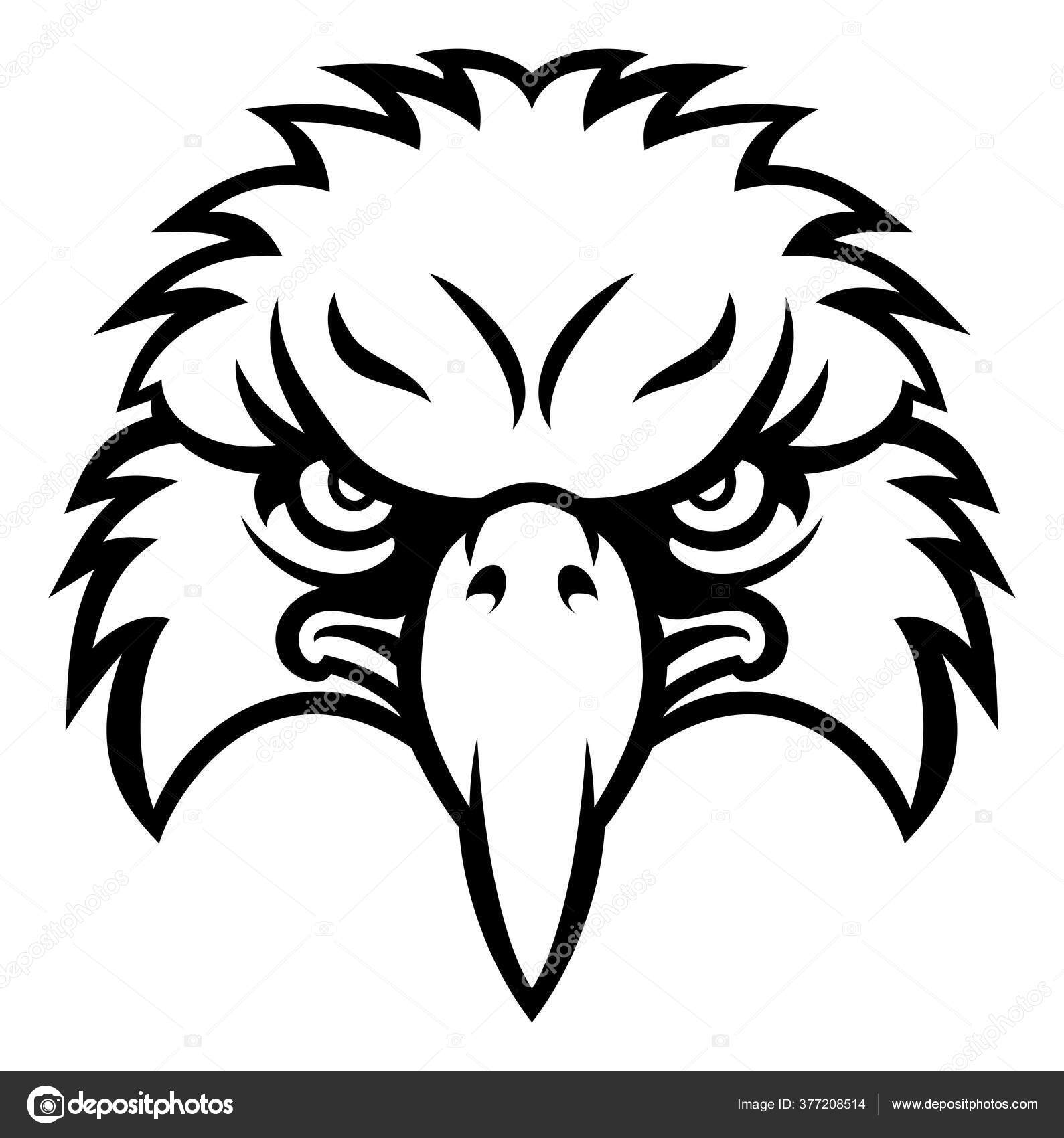 Eagle Face Drawing