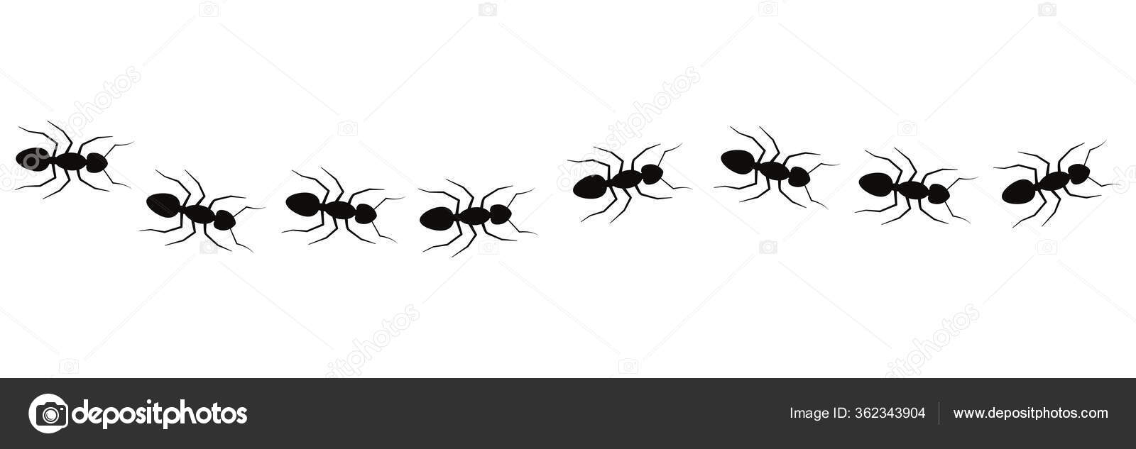 Ants Teamwork Vector