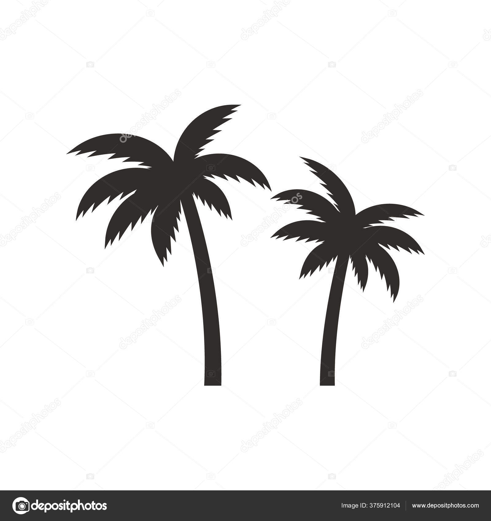 Palm Tree Vector Illustrator