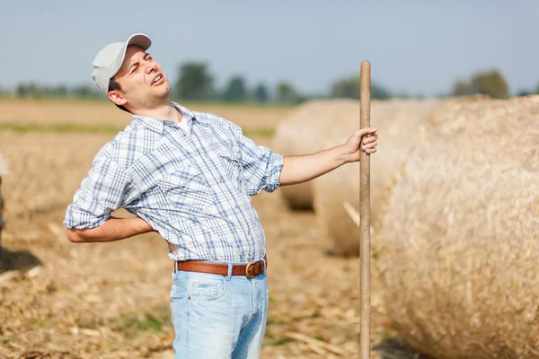 Farmer with pitchfork Stock Photos, Royalty Free Farmer with pitchfork ...