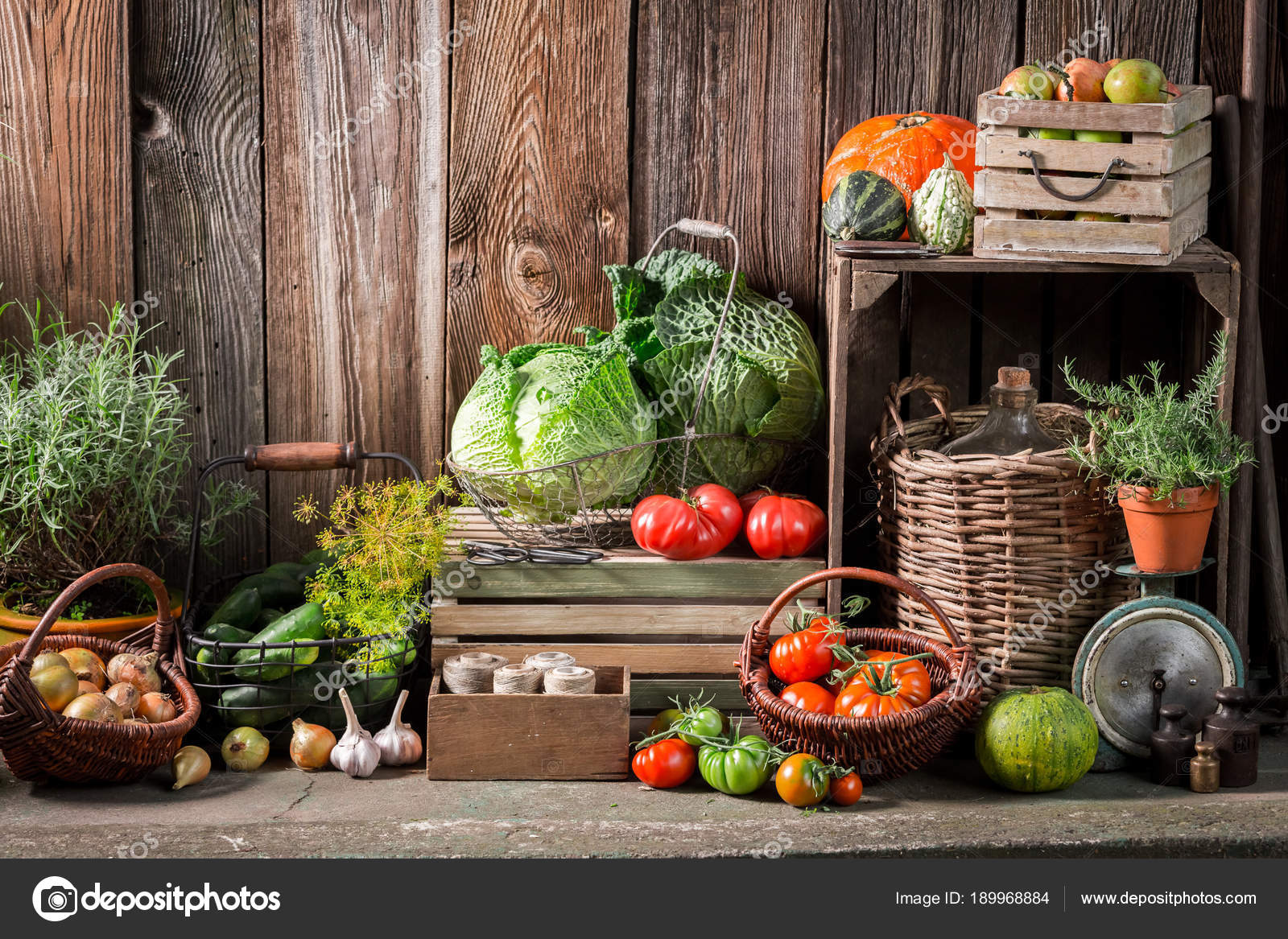 Garden with harvested vegetables and fruits in autumn — Stock Photo ...
