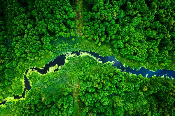 Amazon rainforest aerial Stock Photos, Royalty Free Amazon rainforest ...