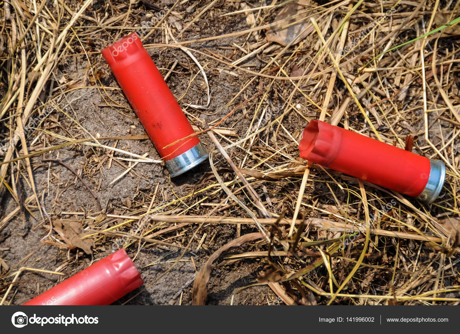 Spent Shotgun Shells