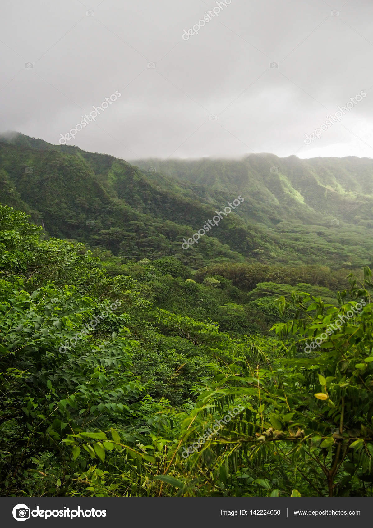 Lush Green Manoa Valley Hawaii Stock Photo by ©nikkigensert@gmail.com ...