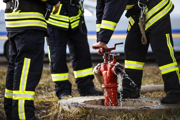 Firefighters fighting fire during training Stock Photo by ©VAKSMANV101 ...