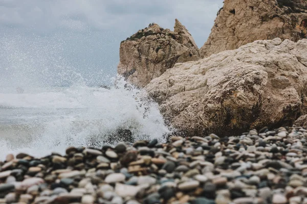 Cyprian Stock Photos, Royalty Free Cyprian Images | Depositphotos®