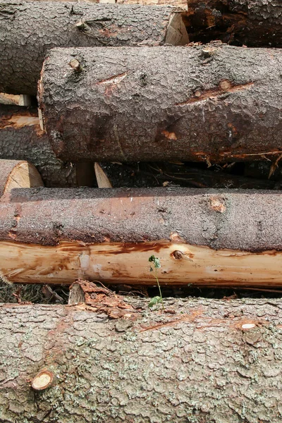 Grappin log Stock Photos, Royalty Free Grappin log Images | Depositphotos