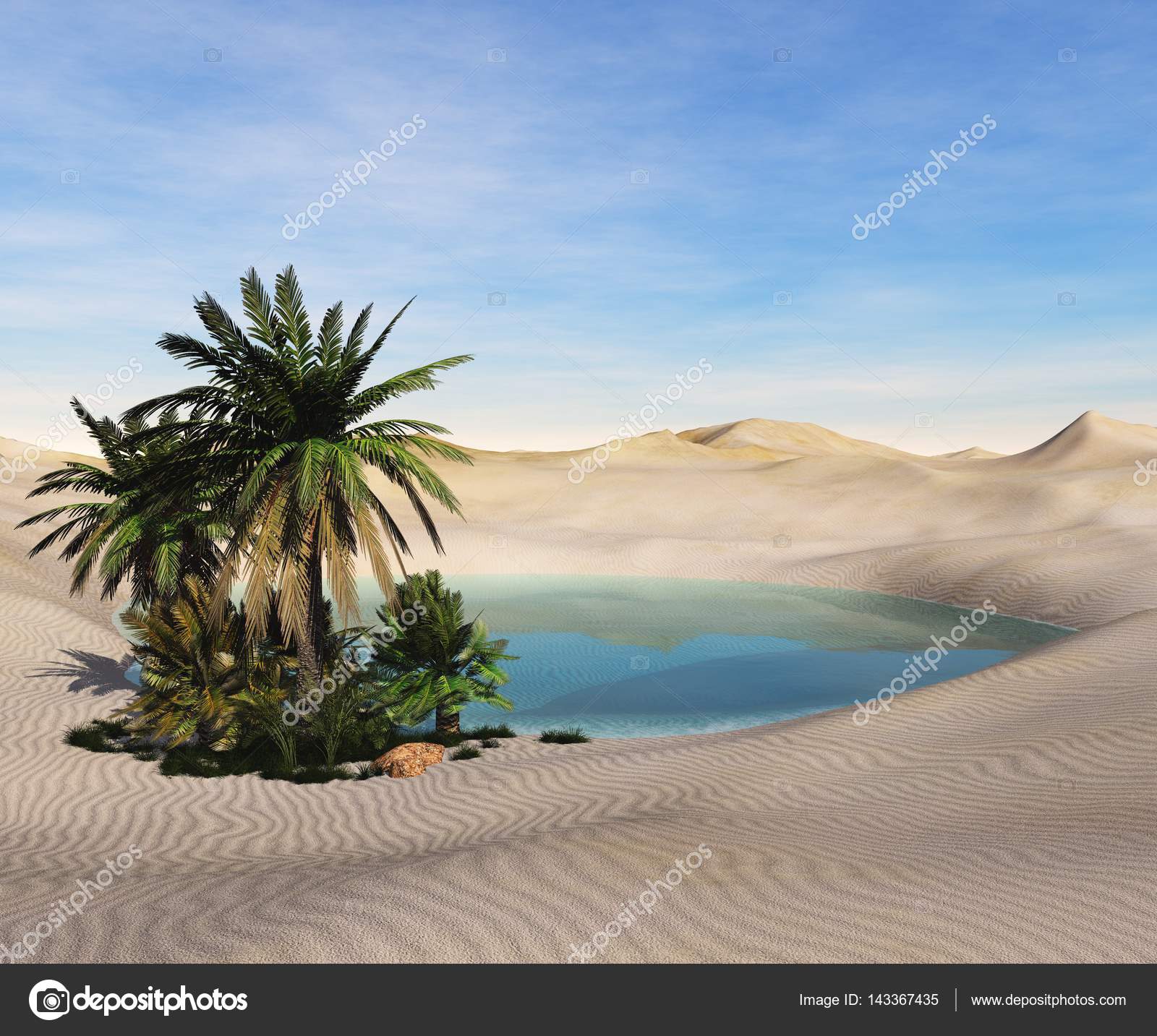 Beautiful Desert Oasis