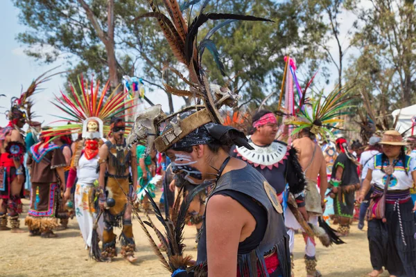 Tribe drum Stock Photos, Royalty Free Tribe drum Images | Depositphotos