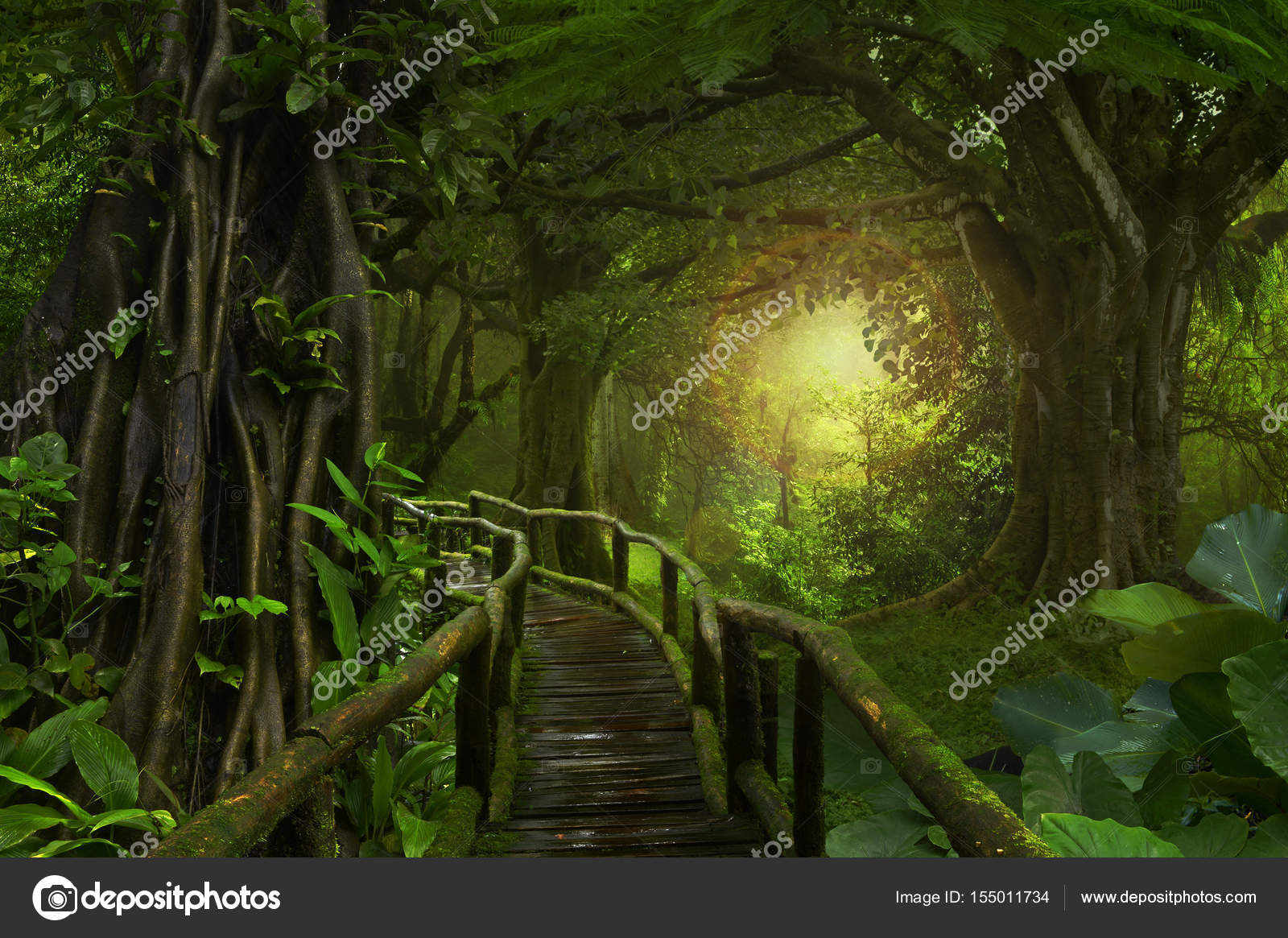 Deep jungle in Southeast Asia Stock Photo by ©teotarras 155011734