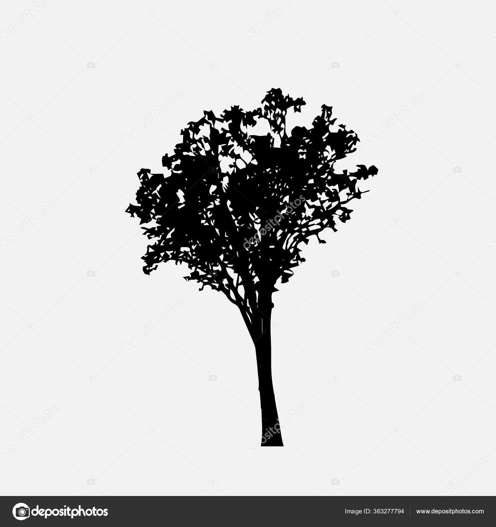 Tree Silhouettes White Background Vector Illustration Design Stock ...