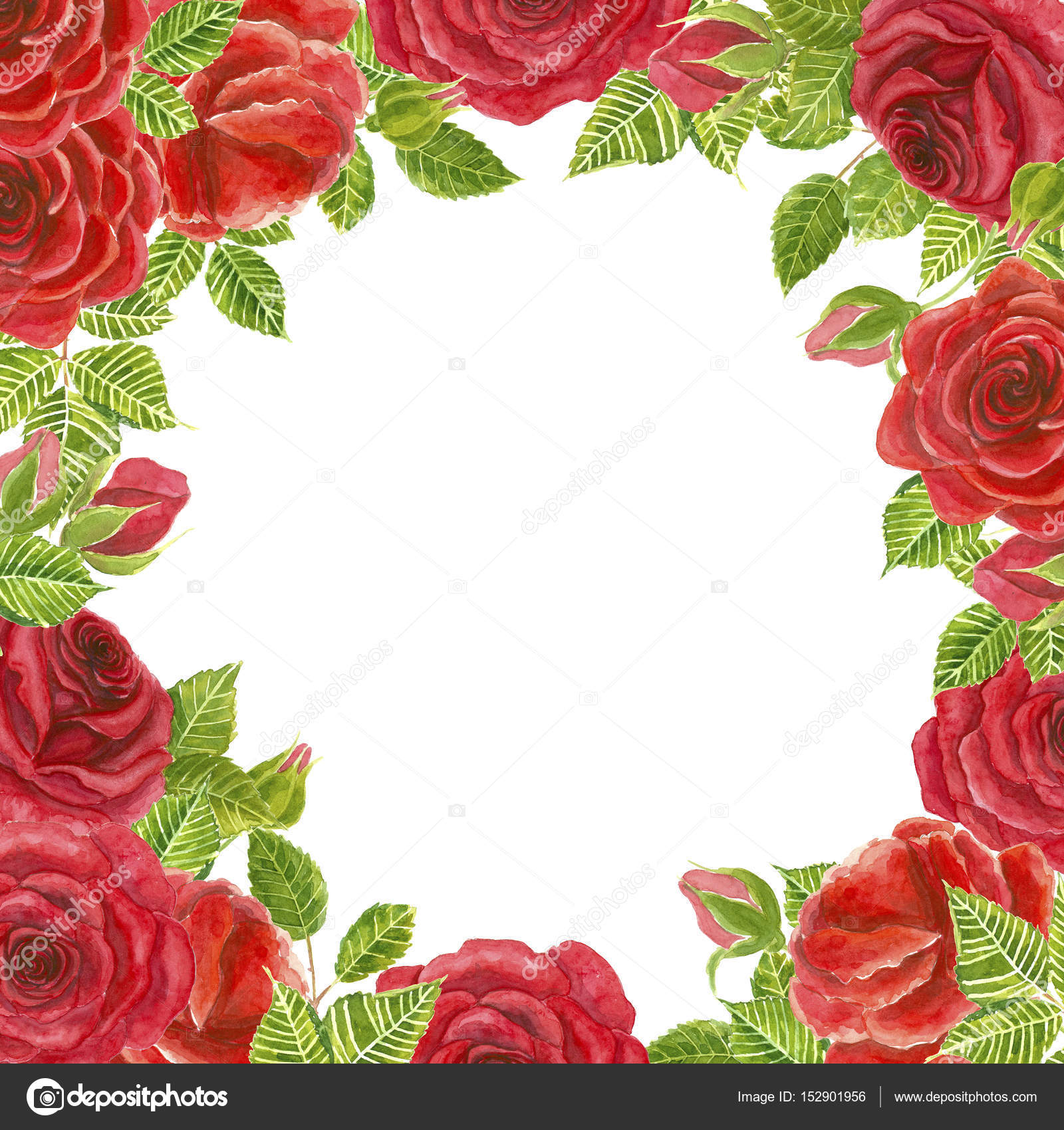 Red Rose Flower Border Design