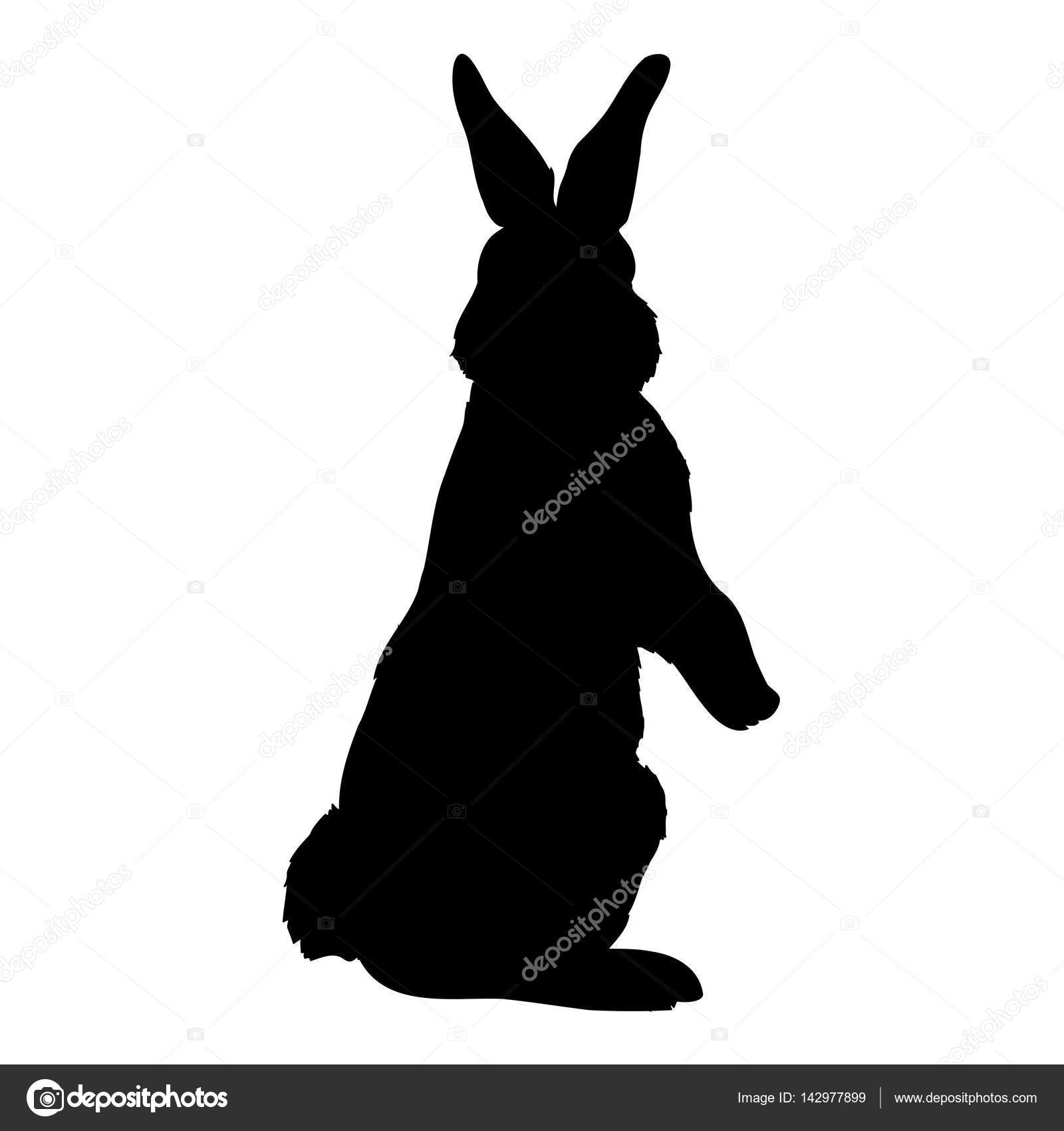 Rabbit Silhouette Vector
