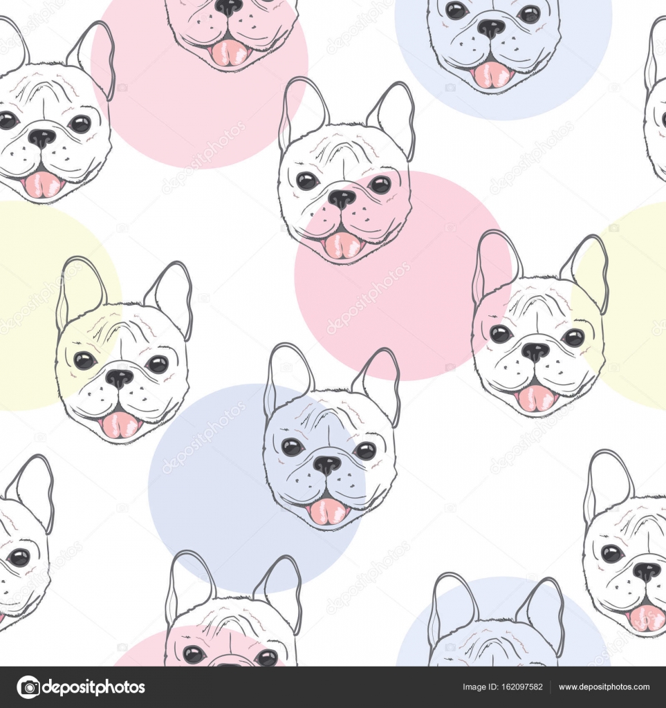 Bulldog, perro, vector, ilustración Vector de stock por ©89534886399 ...