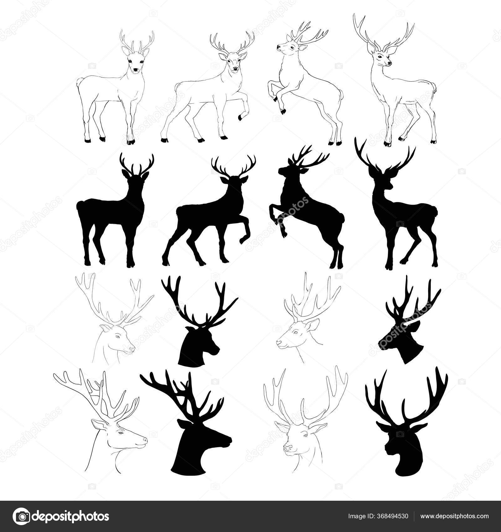 Cabeza Ciervo Estilización Gráfica Para Diseño Objetos Aislados Vector ...