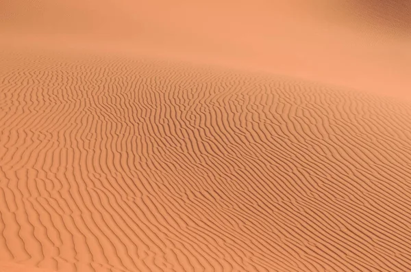 Sahara wallpaper Stock Photos, Royalty Free Sahara wallpaper Images ...