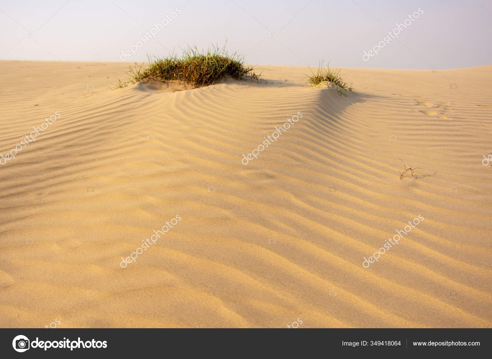 Thal Desert