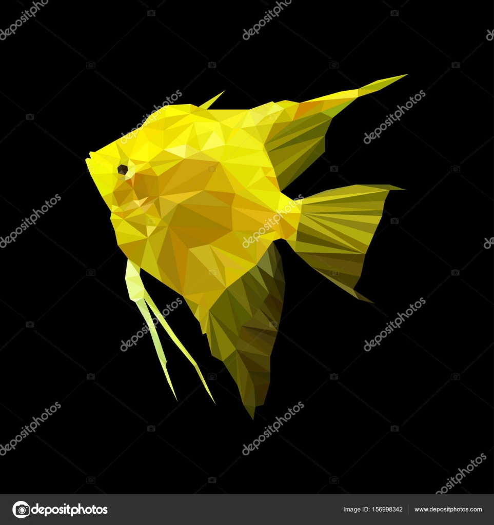 Scalar fish. Vector illustration. Stock Vector by ©slobodyan_78 156998342