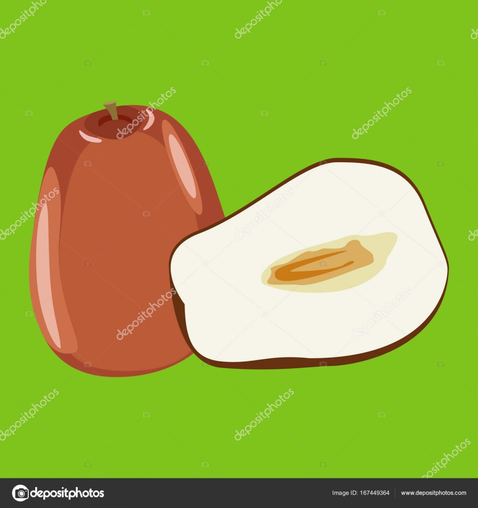 Jujube jujube, vector, food, fresh, fruit, healthy, drawn, Stock Vector ...