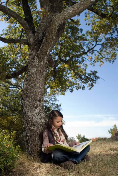 Girl reading tree Stock Photos, Royalty Free Girl reading tree Images ...