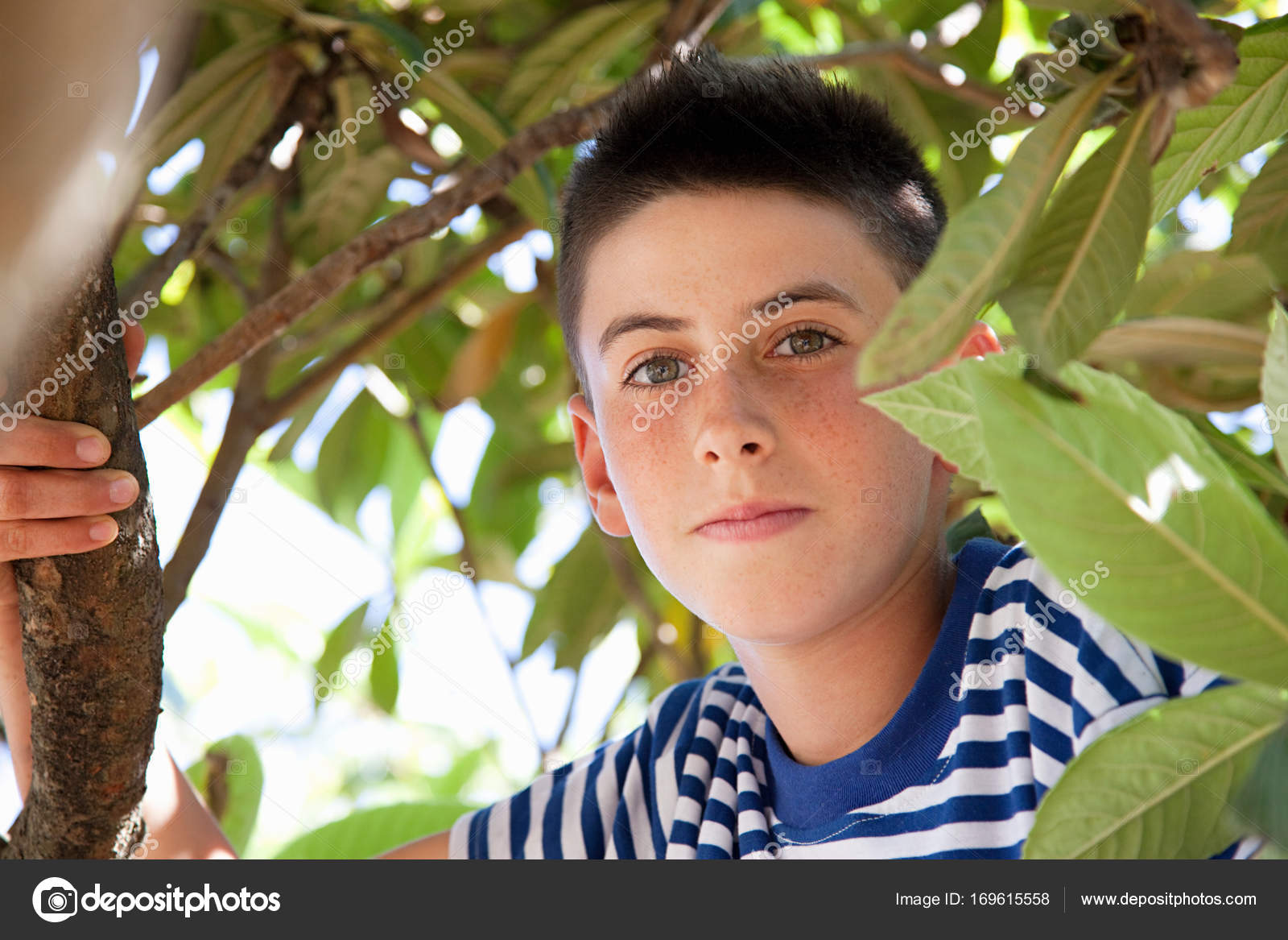 Boy Climbing Tree Portrait — Stock Photo © ImageSource #169615558