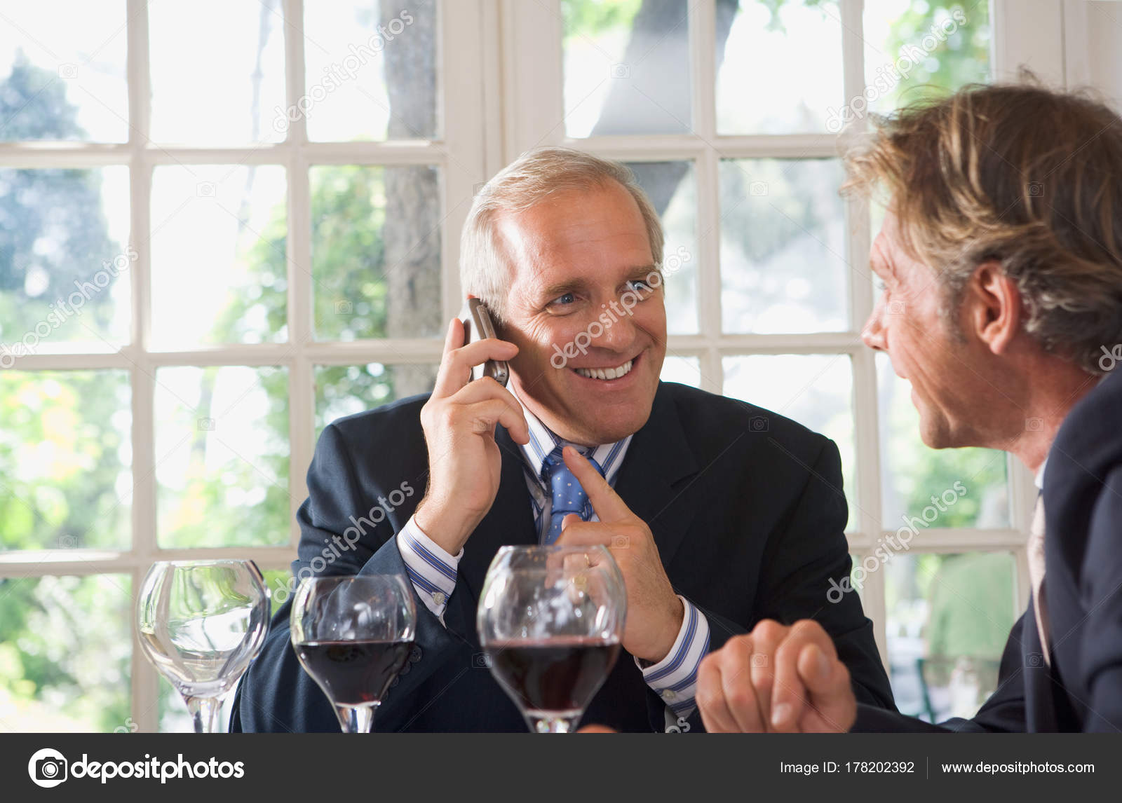 Two Businessmen Having Lunch — Stock Photo © ImageSource #178202392