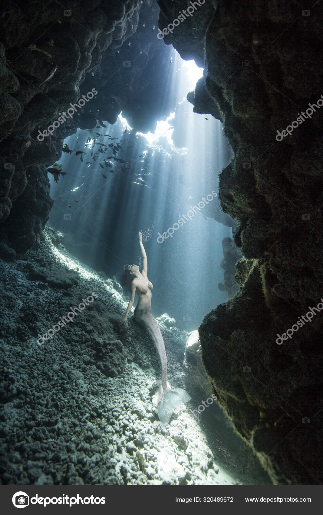 Underwater Looking Up