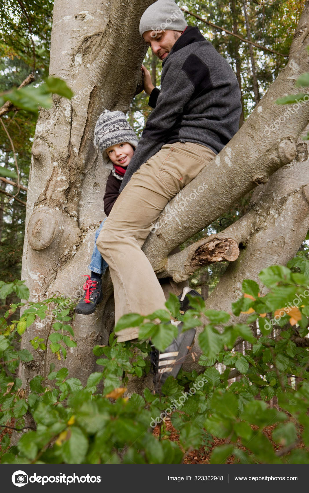 Father Son Tree Stock Photo by ©ImageSource 323362948