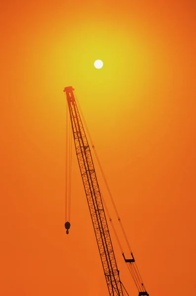 Sunny crane Stock Photos, Royalty Free Sunny crane Images | Depositphotos