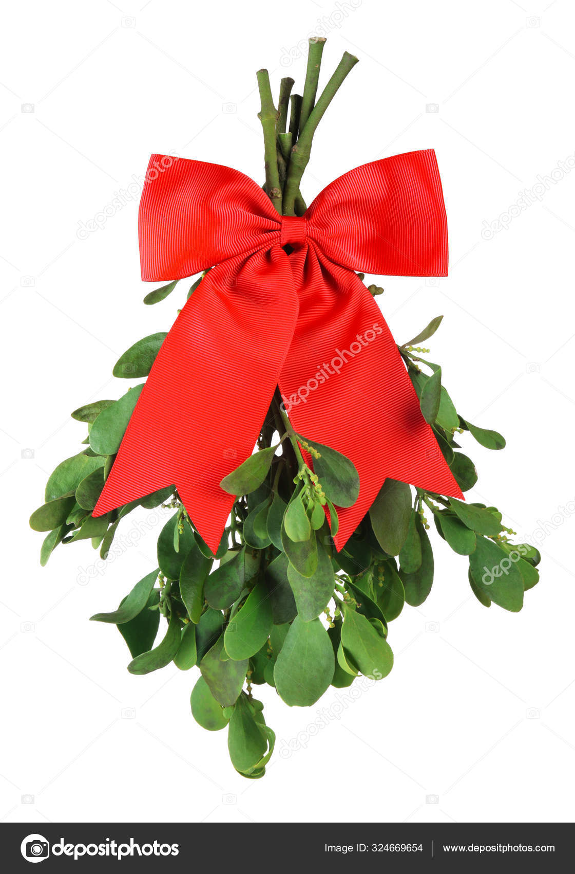 Real Mistletoe