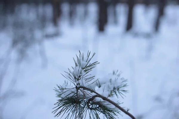 Cold background Images - Search Images on Everypixel