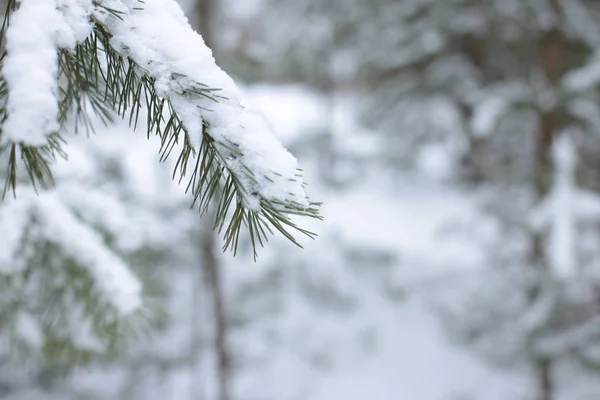 Cold background Images - Search Images on Everypixel