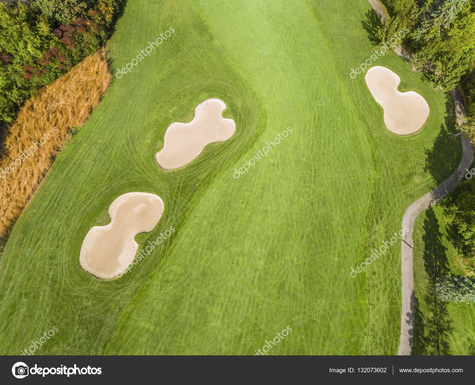 Golf Course Top View