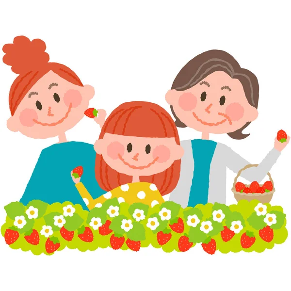 127 Strawberry picking Vector Images | Depositphotos