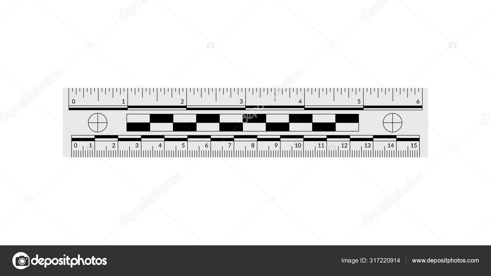 Forensic ruler for measuring crime evidence and gathering a clues ...