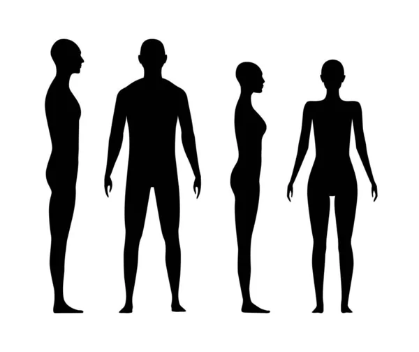 Human body profile Vector Art Stock Images | Depositphotos