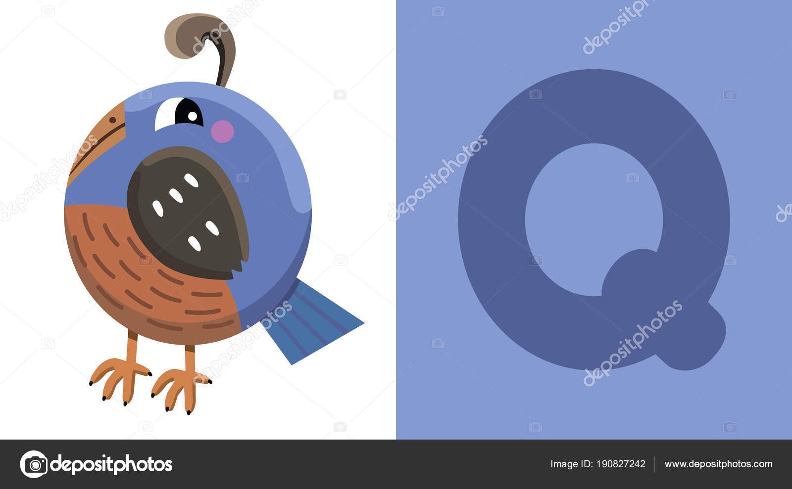 Letter Q Clip Art Q Is For Quail Alphabet Animal Brown Quail On