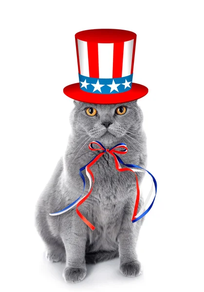 Uncle sam Stock Photos, Royalty Free Uncle sam Images | Depositphotos