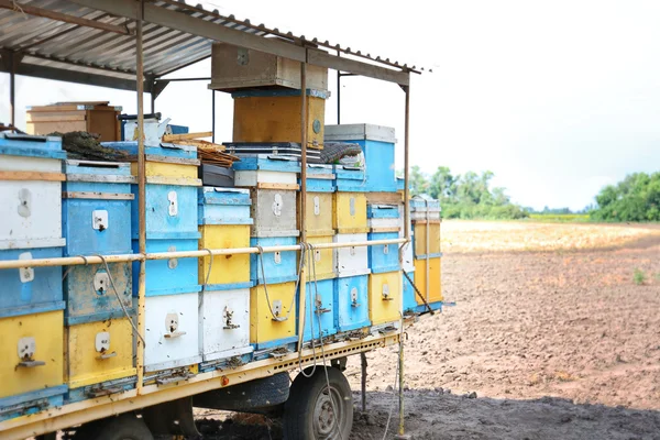 Mobile apiary with honeybees Stock Photo by ©belchonock 124779614