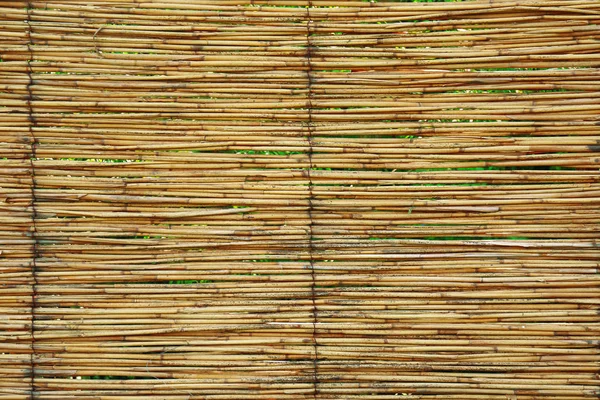 Reed texture Images - Search Images on Everypixel