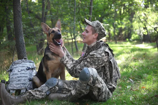 Soldier dog Stock Images - Search Stock Images on Everypixel
