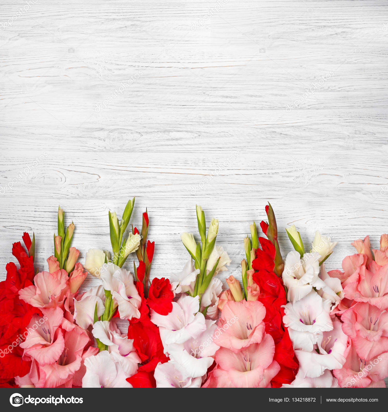 Beautiful flowers border Stock Photo by ©belchonock 134218872