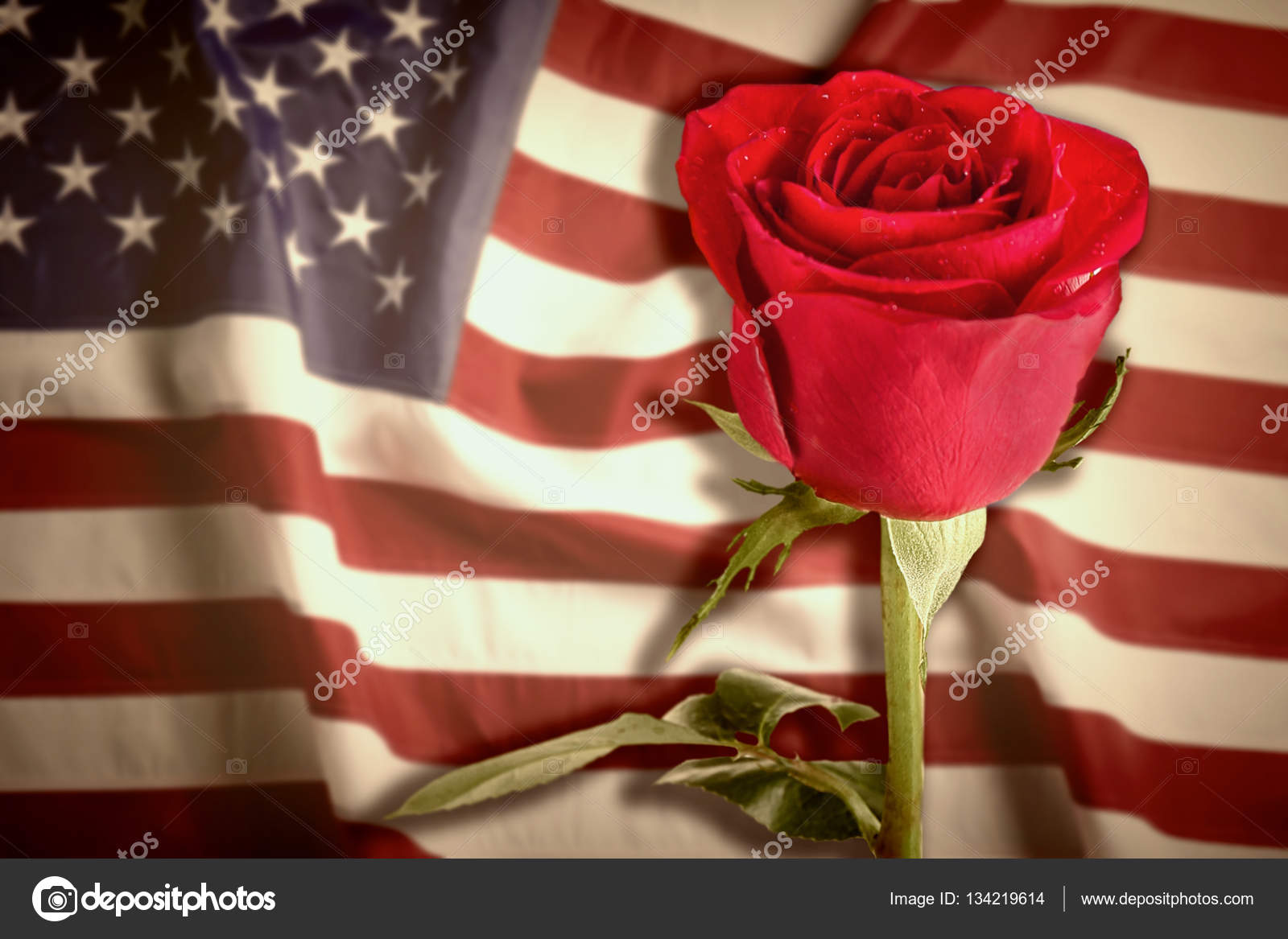 Rose on USA flag Stock Photo by ©belchonock 134219614