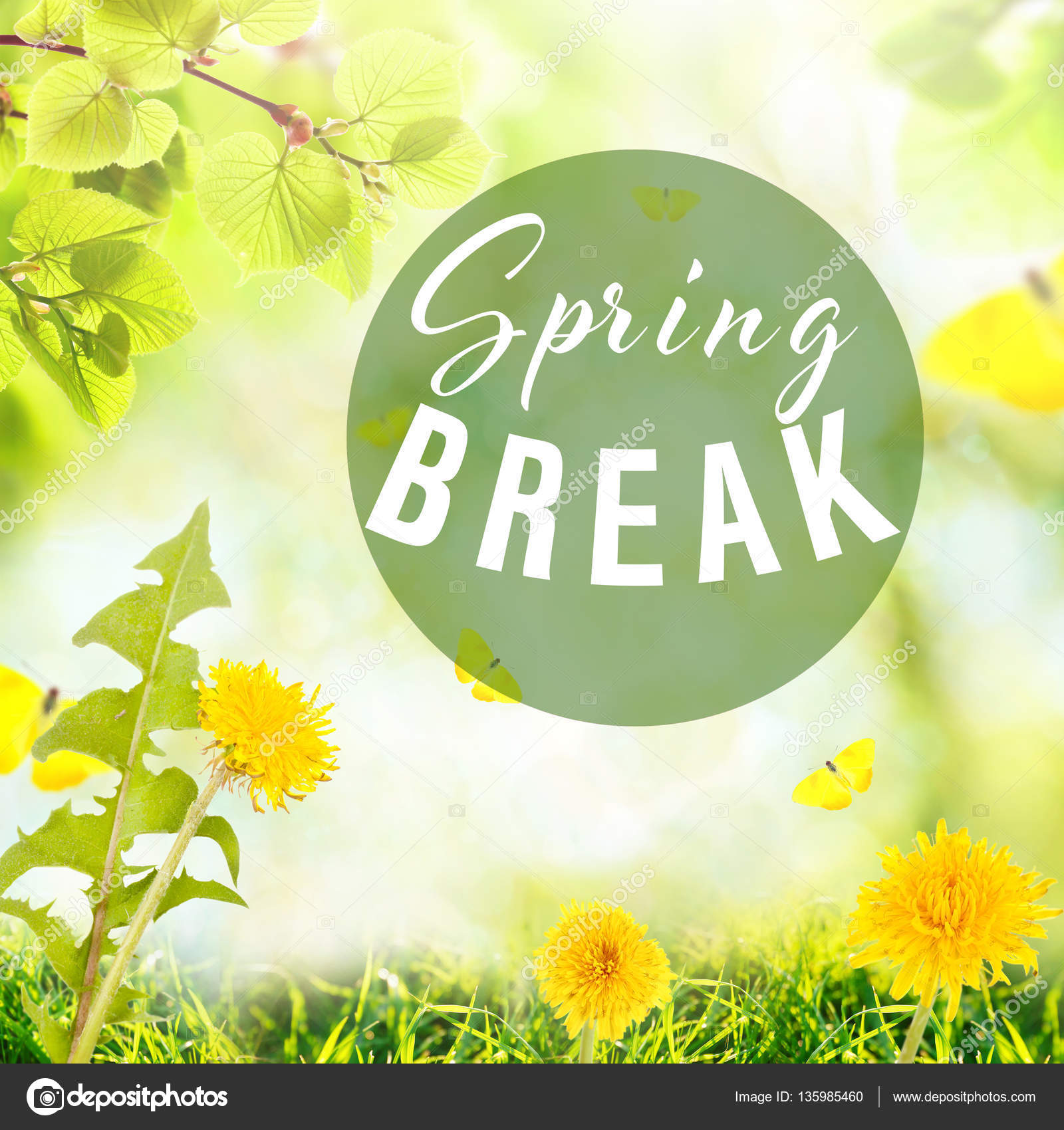 Spring Break Background