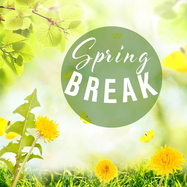 Spring break Stock Photos, Royalty Free Spring break Images | Depositphotos