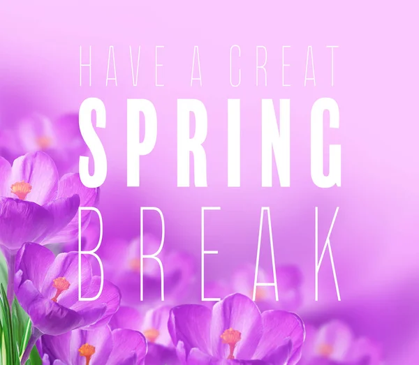 Spring break Stock Photos, Royalty Free Spring break Images | Depositphotos